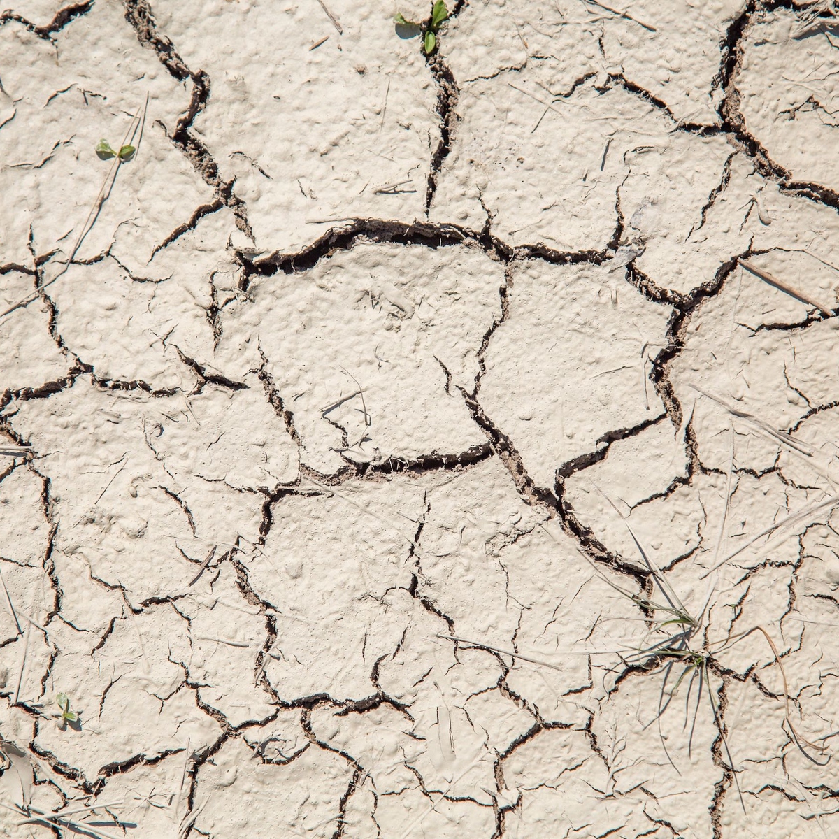 Food Insecurity and the Threat to Global Stability and Security in the ...