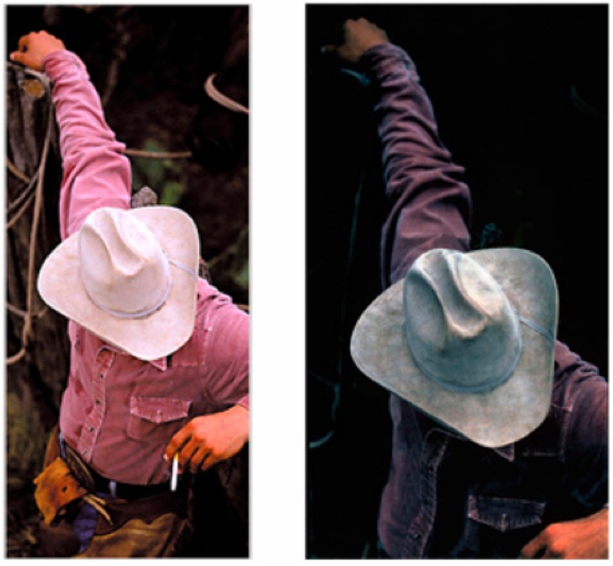 Conceptual Artwork That Uses Appropriation