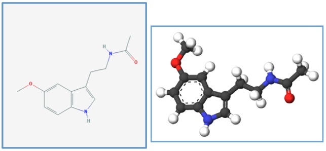 Melatonin and Sleep Disorders: The Neurobiology of Sleep, Circadian ...