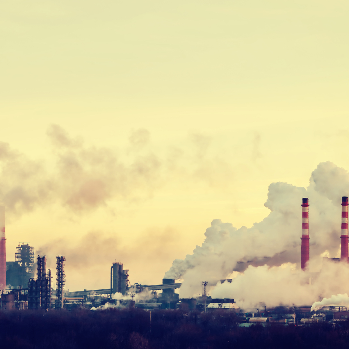Stepping Back from the Brink: Working to Stop and Reverse the ...