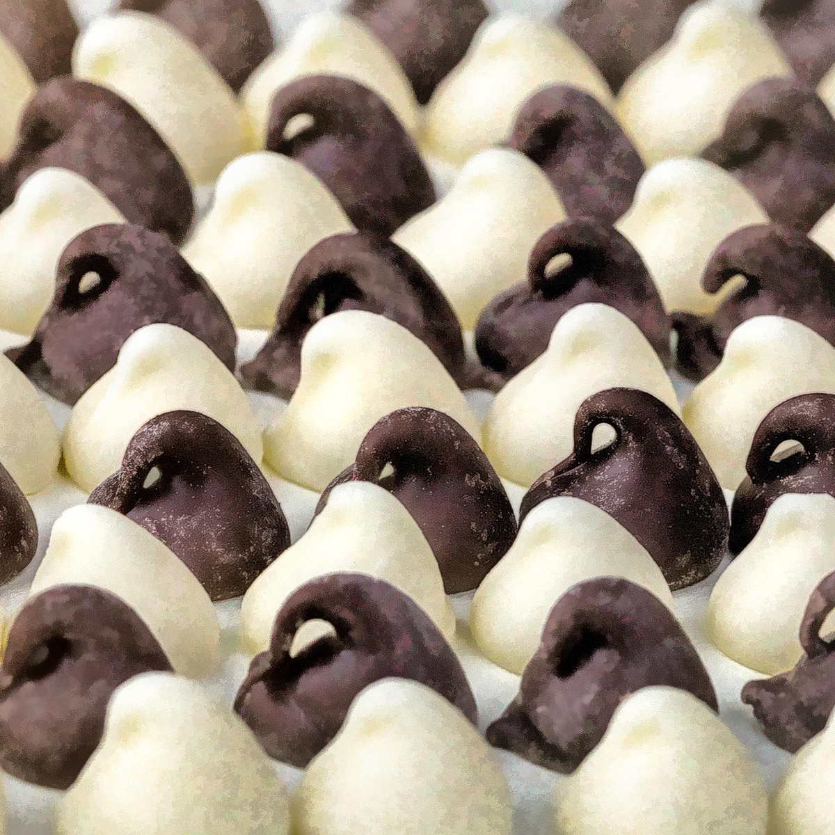 Cacao Cravings: Europe's Assimilation and Europeanization of Chocolate ...