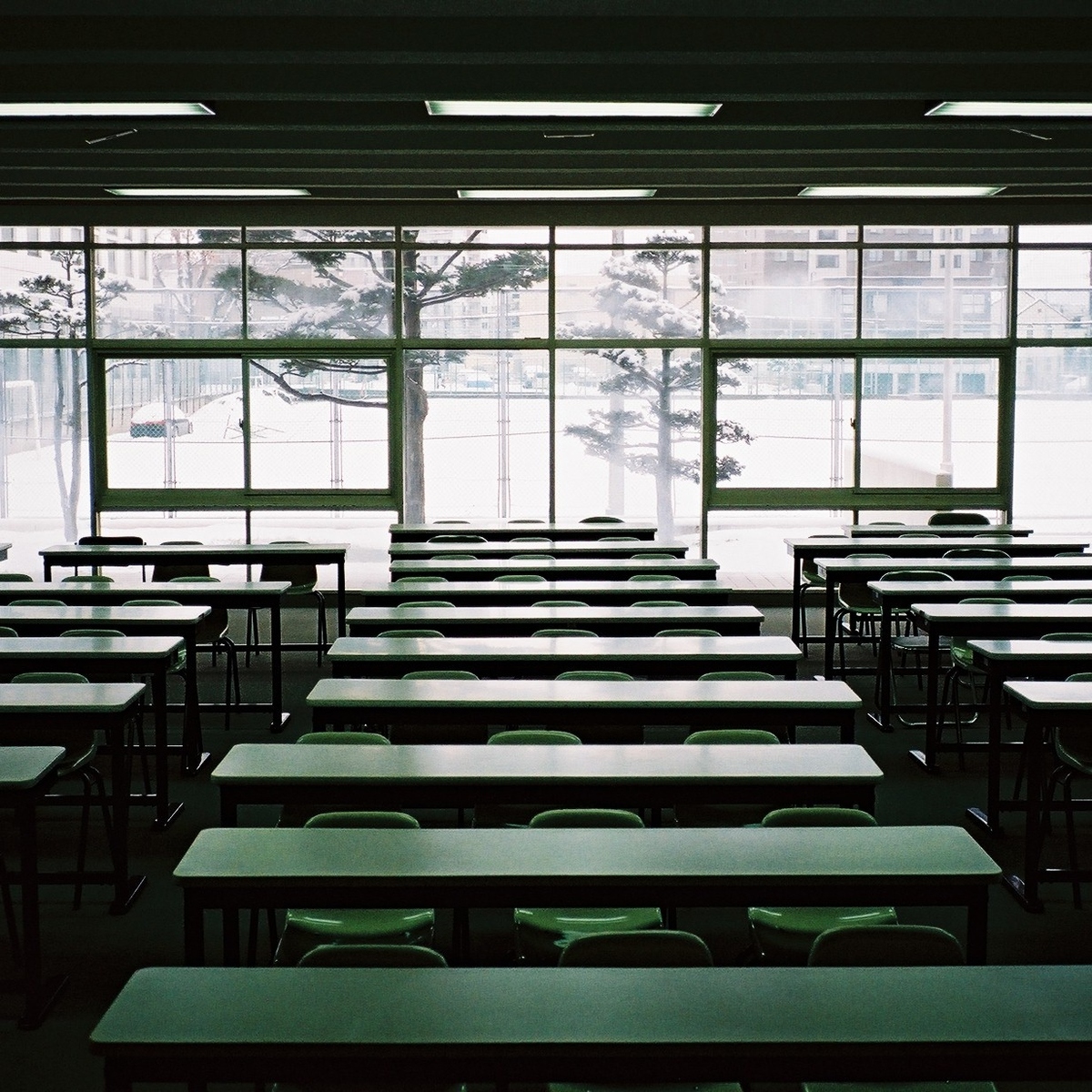 Divided Society, Divided Schools, Divided Lives: The Role of Education ...