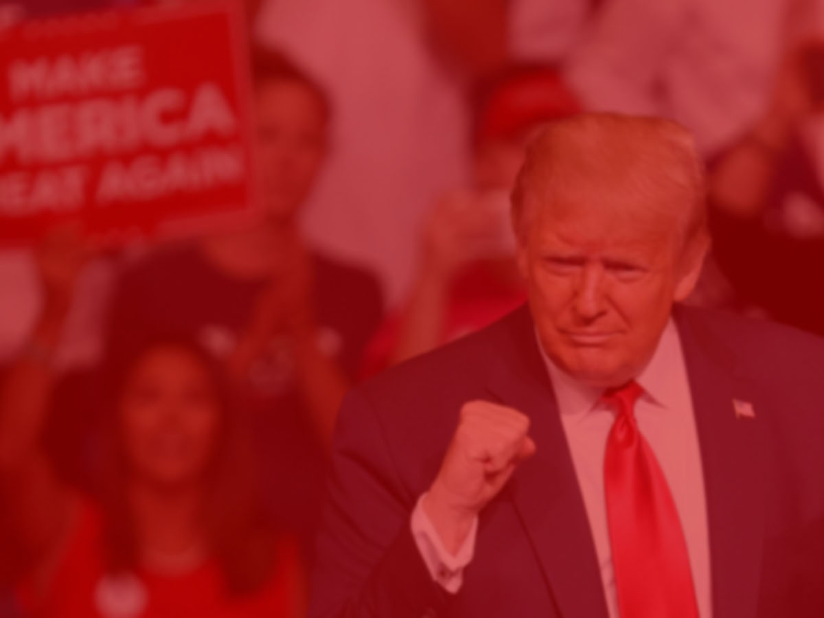 The Power of Right-Wing Populism in the Twitter Age: Analysis of Donald ...