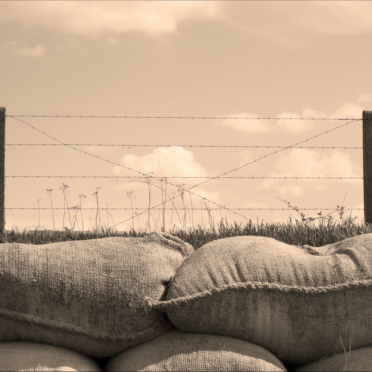 Towards a New Consensus? The Post-Centenary Historiography on the ...